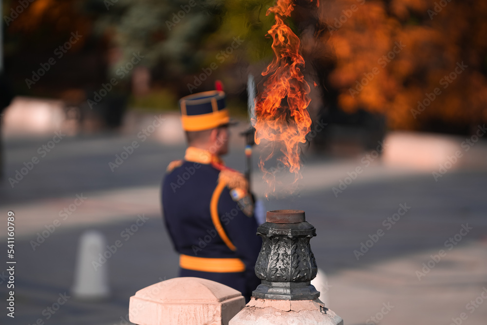 Symbolic image for the sacrifice of soldiers who died on the ...
