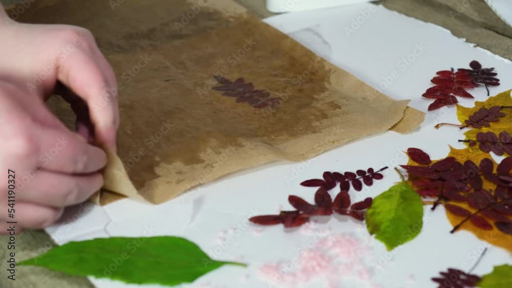 a woman prepares leaves for decoration, irons leaves through wax paper ...