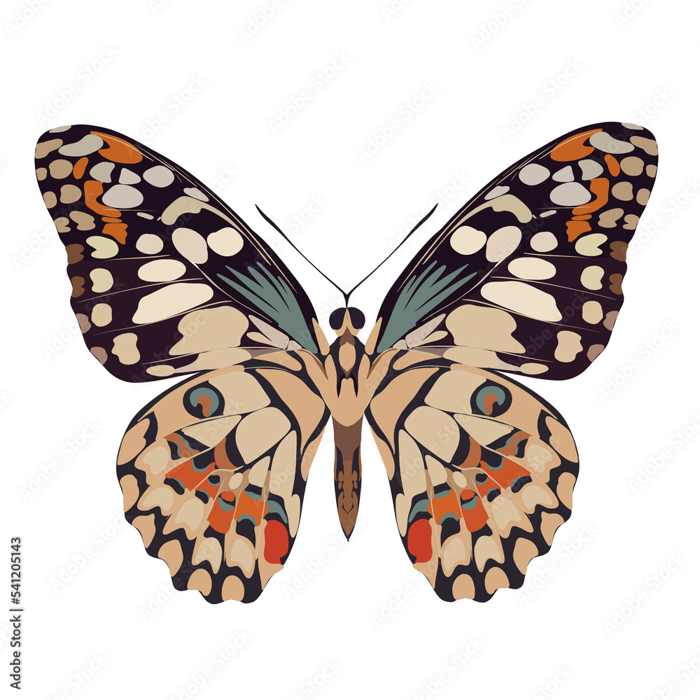Beautiful realistic butterfly.Bright realistic butterfly.Beautiful ...
