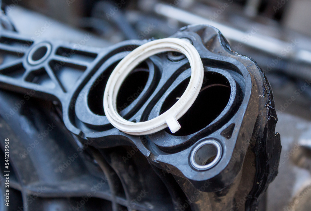 Plastic housing of the intake manifold with a system for adjusting the ...