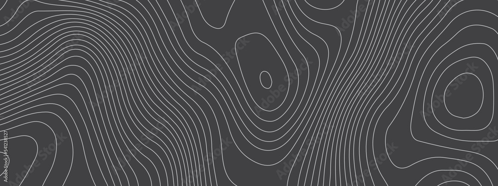 The stylized black and white abstract topographic map with lines and ...