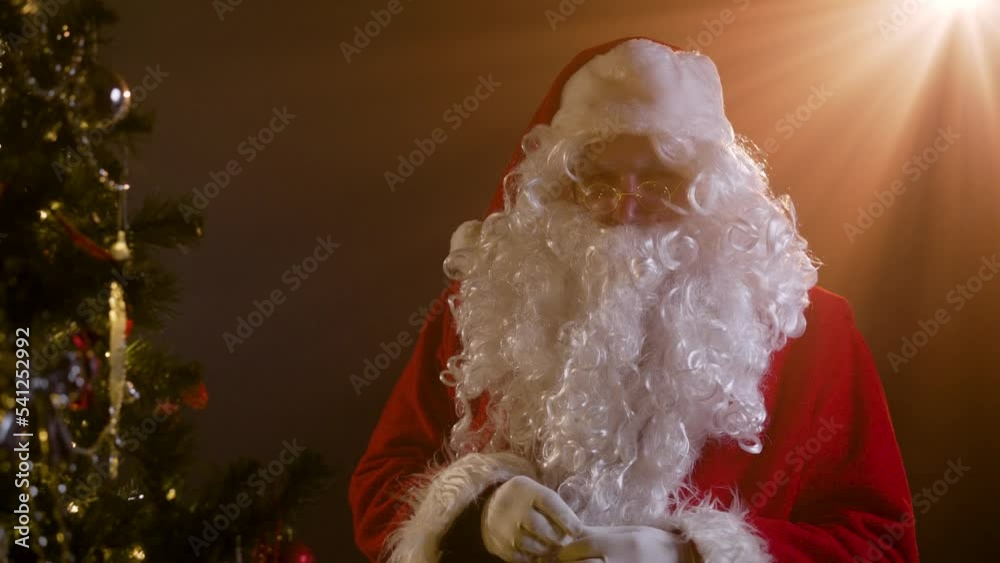 Santa Claus hangs a New Year's toy on the Christmas tree. A man dressed ...