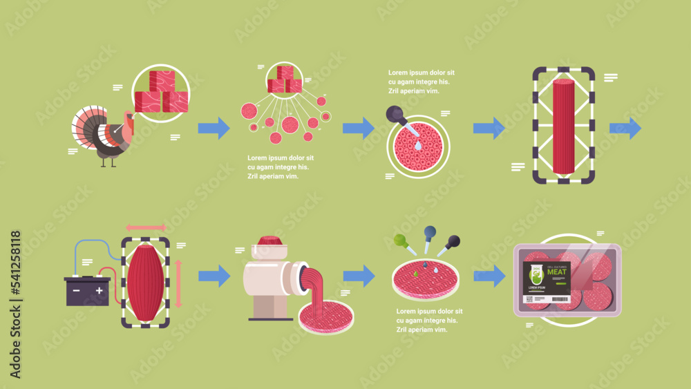 production process cultured red raw meat made from animal cells ... production process cultured red raw meat made from animal cells ...