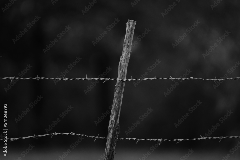 Rural Texas farm fencing with barbed wire and cedar stave in dark black ...