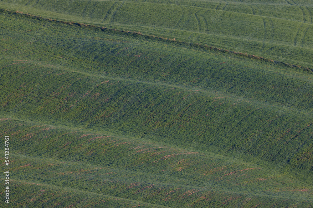 Entornos verces típicos de la toscana, praderas primaverales Stock ...