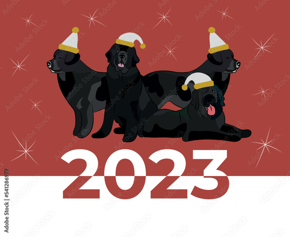Newfoundland dog drawing. Cute dog characters in various poses, designs ...