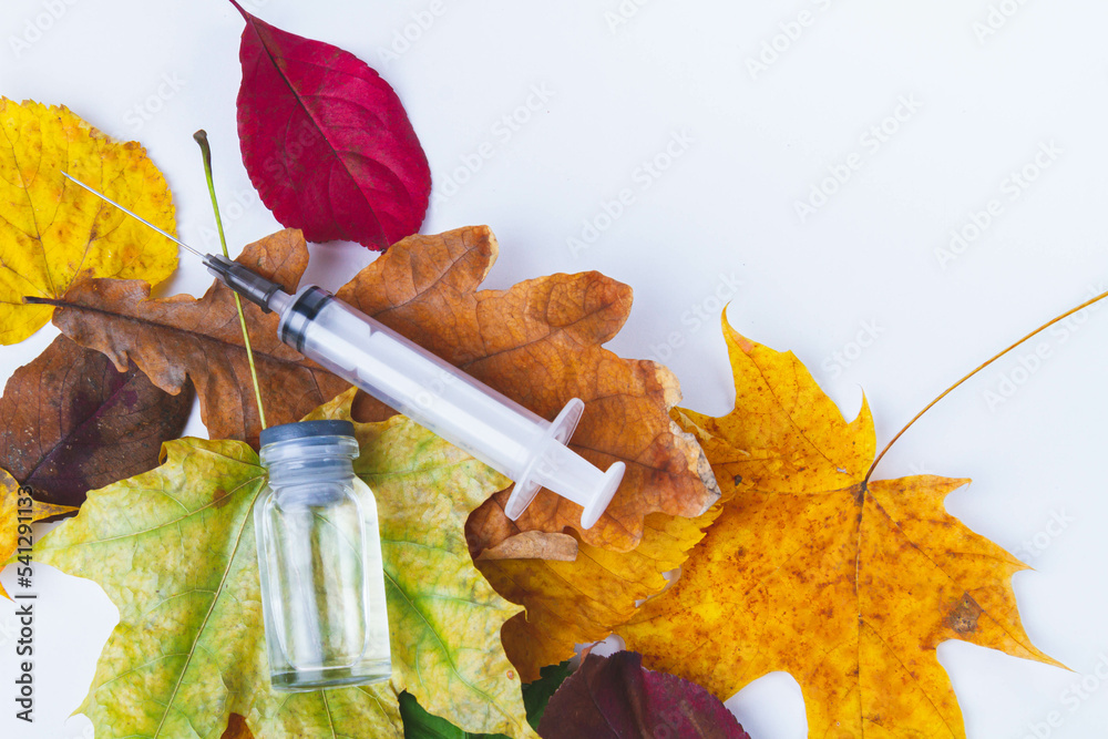 Autumn vaccination of population. Syringe in autumn leaves. Vaccination ...