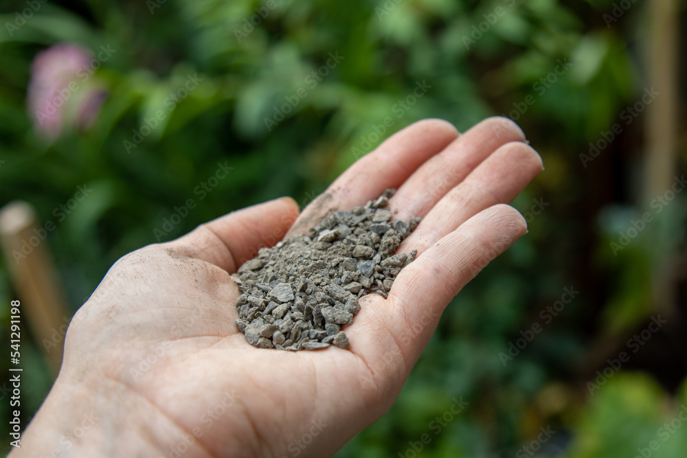 Volcanic Ash For Plants