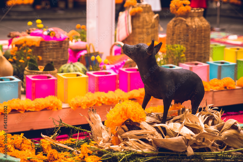 Traditional Mexican Day Of The Dead Altar Display With A Xoloitzcuintle traditional-mexican-day-of-the-dead-altar-display-with-a-xoloitzcuintle