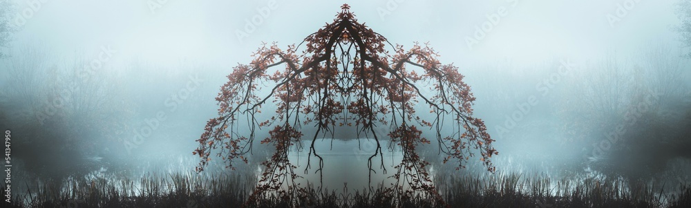 Strangers park. Mysterious fairy forest. Dark fantasy wallpaper ...