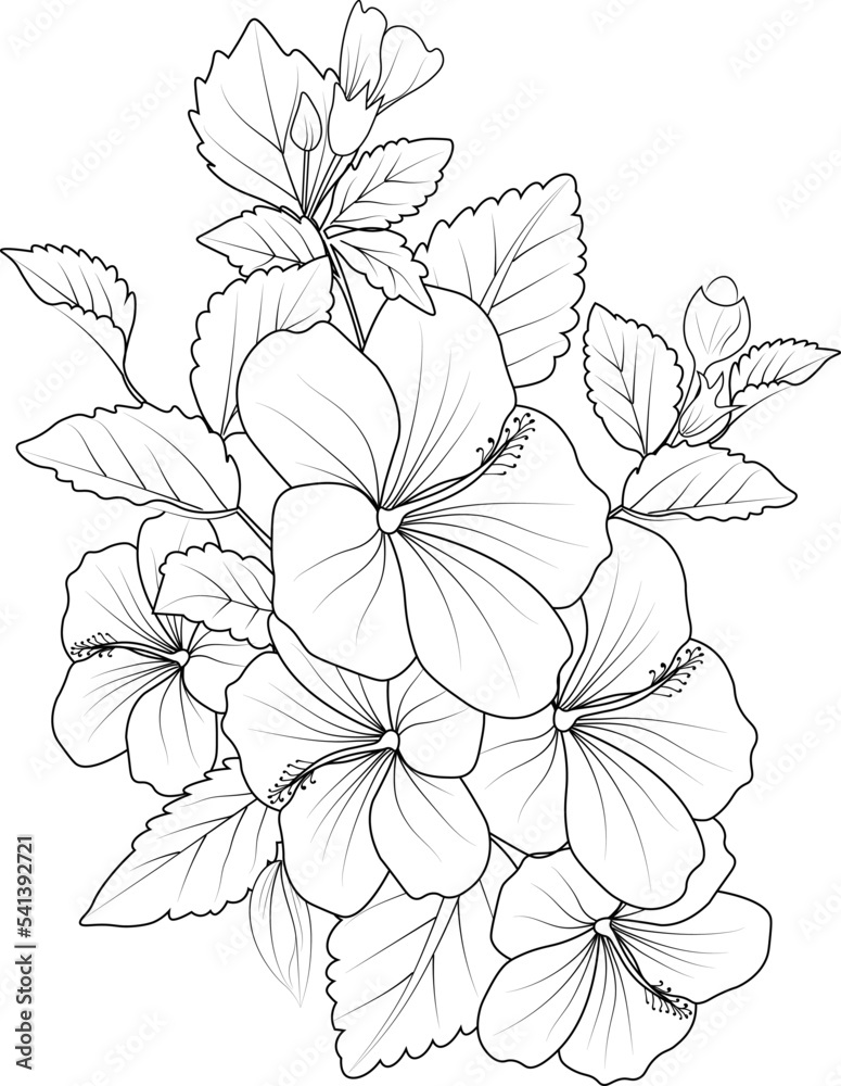 Hibiscus Flower Pencil Drawing