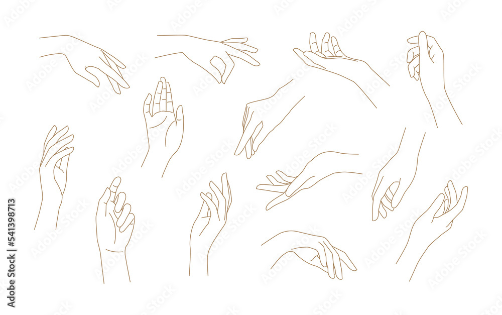 Minimalist hand gesture collection Free Vector Stock Vector | Adobe Stock