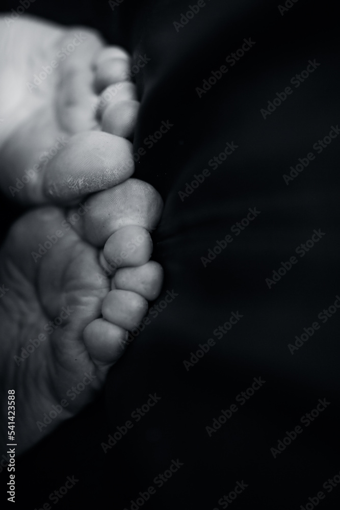 body details, photo shoot in the studio large details. macro ...