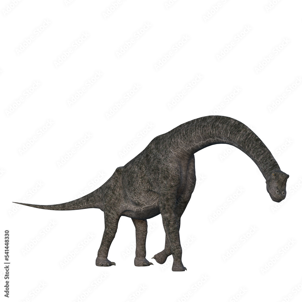 Brachiosaurus Jurassic dinosaur. 3D illustration isolated on ...