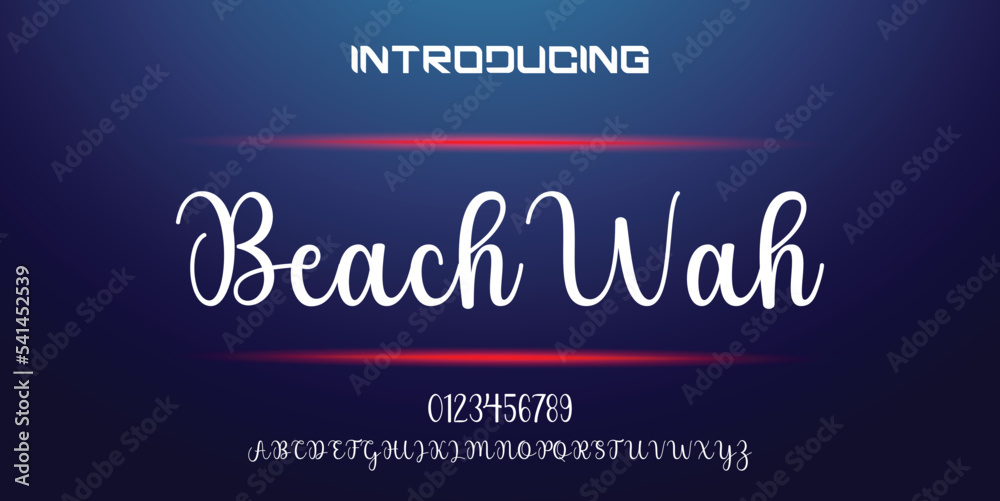 BEACH WAH Signature Font Calligraphy Logotype Script Font Type Font ...
