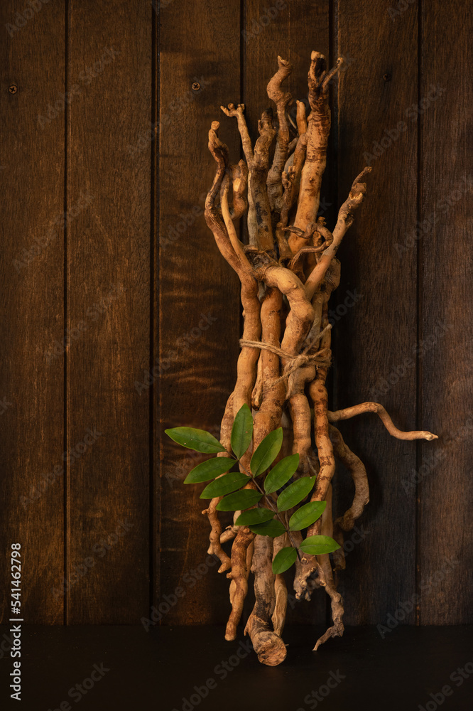 Eurycoma longifolia Jack,dried roots and green leaves on an old wooden ...