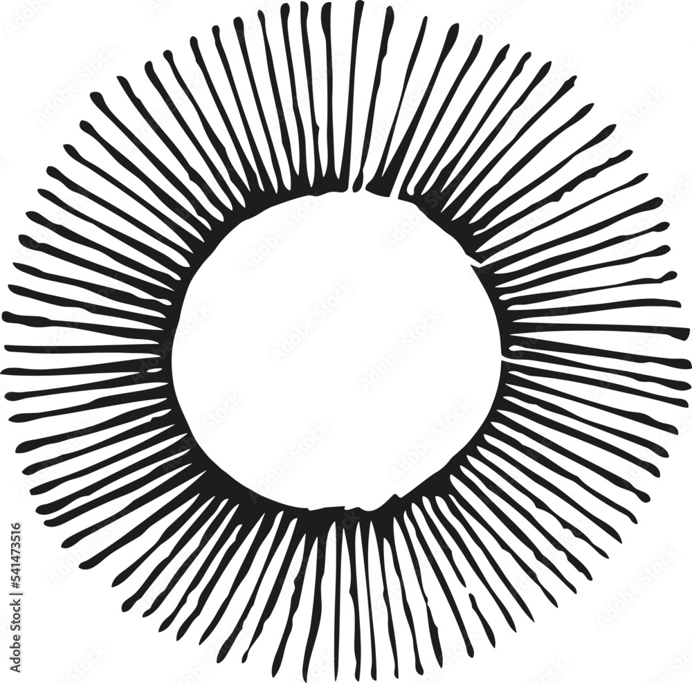 abstract circle frame clipart png Stock Vector | Adobe Stock