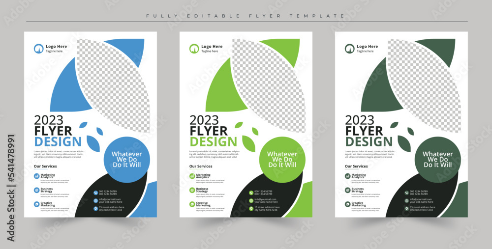 Flyer brochure design template. set color flyer business flyer template ...