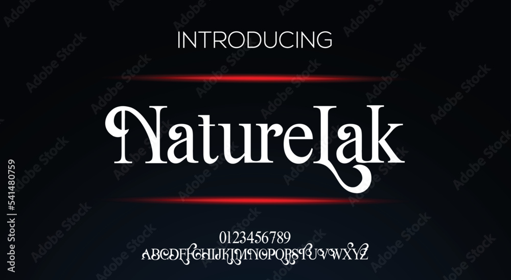 NATURE LAK Signature Font Calligraphy Logotype Script Brush Font Type Font lettering handwritten ...
