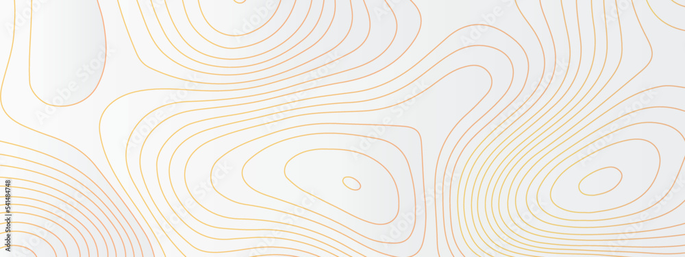 The stylized white and orange abstract topographic map with lines and ...