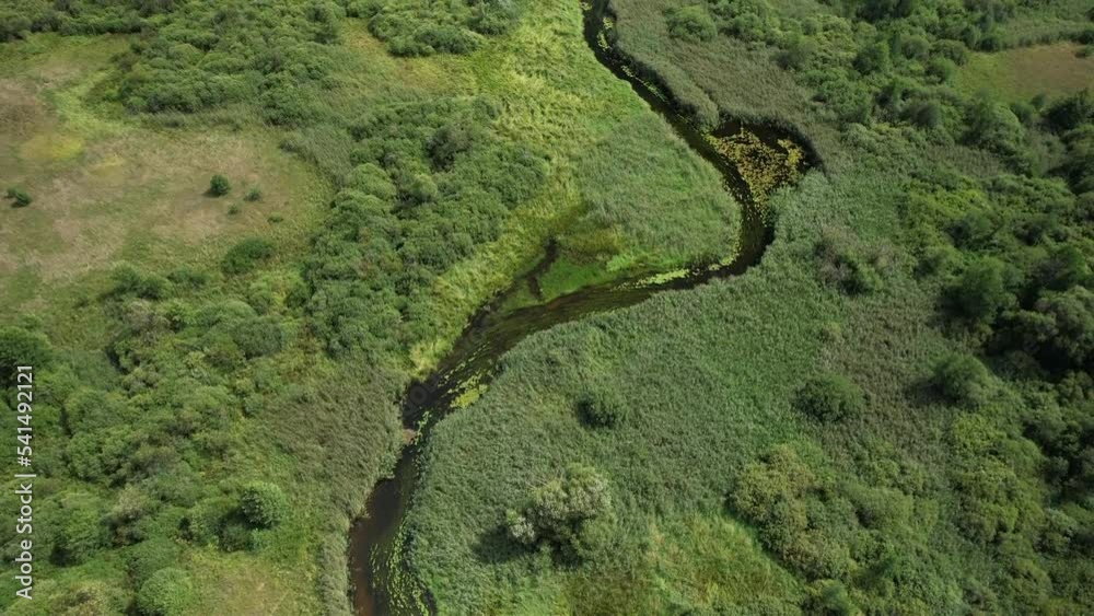 Zigzag River in wild. Water supply. Small river in field and forest in ...