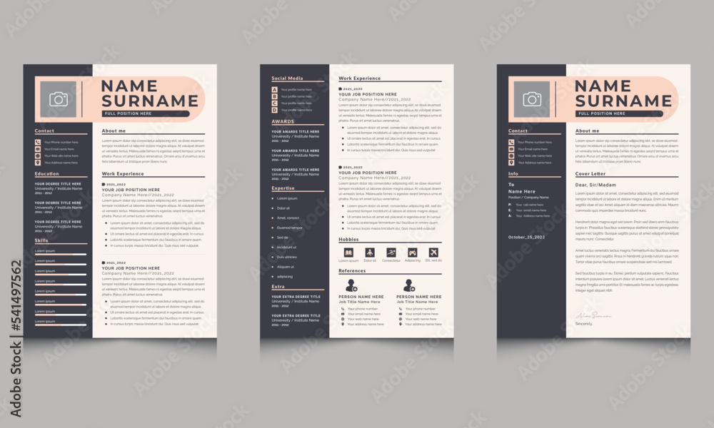 Professional CV Layout Application Resume Template Dark Sidebar Stock ...