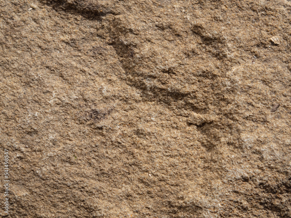 Sandstone texture for the background. Natural texture of the grainy ...
