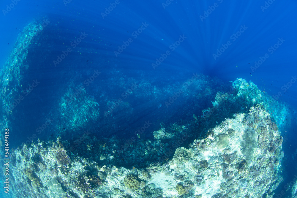 Beams of sunlight fall beyond a dramatic reef drop off near Alor ...