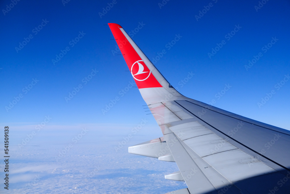 Turkish Airlines Airbus A321 wing view in flight Stock Photo | Adobe Stock