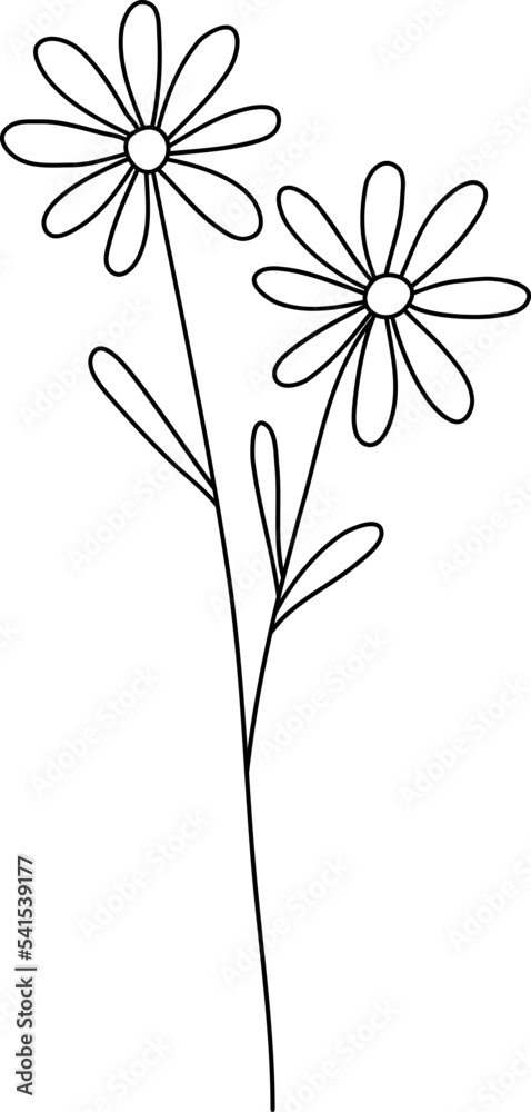 Field plant line vector, line flower vector, minimalist line design ...