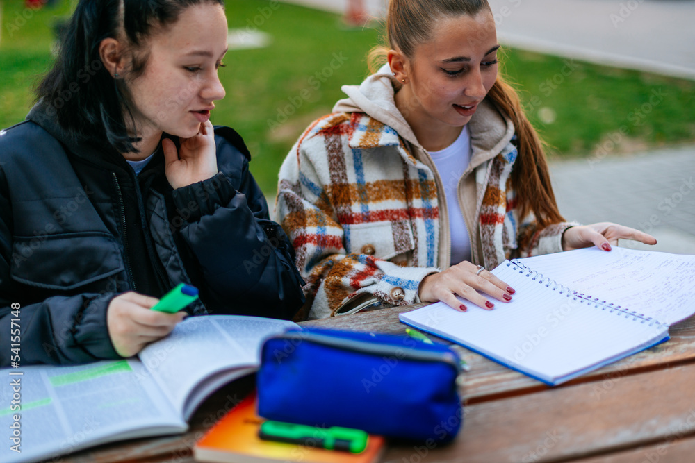 A high school student browsing her notebook's pages Stock Photo | Adobe ...
