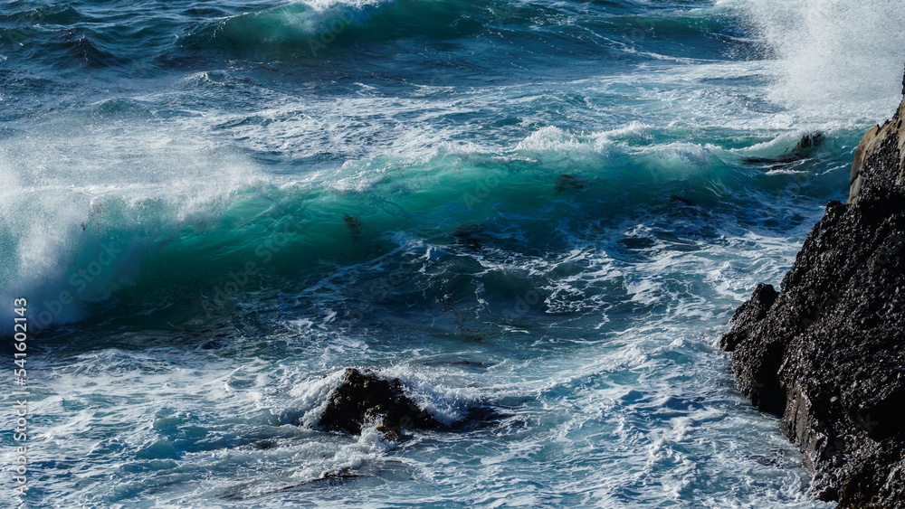 Point Lobos Bird Island Trail Big Sur California Stock Photo | Adobe Stock