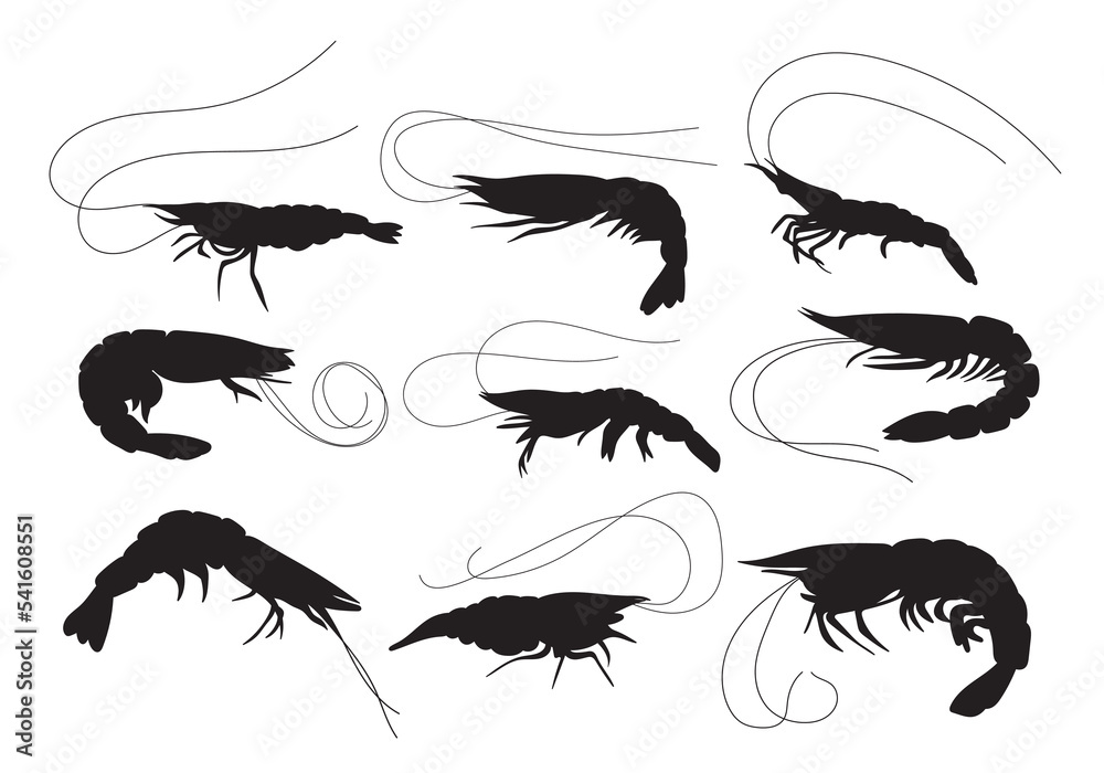 Shrimp set stencil templates, silhouette seafood for packaging design ...