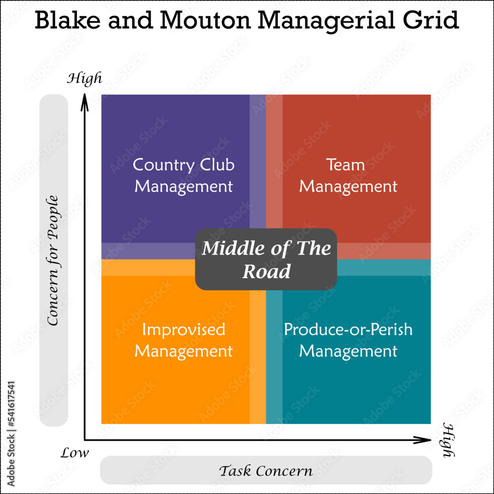 Blake and Mouton Managerial Grid in Matrix infographic template Stock ...