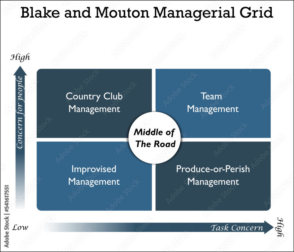 Blake and Mouton Managerial Grid in Matrix infographic template Stock ...