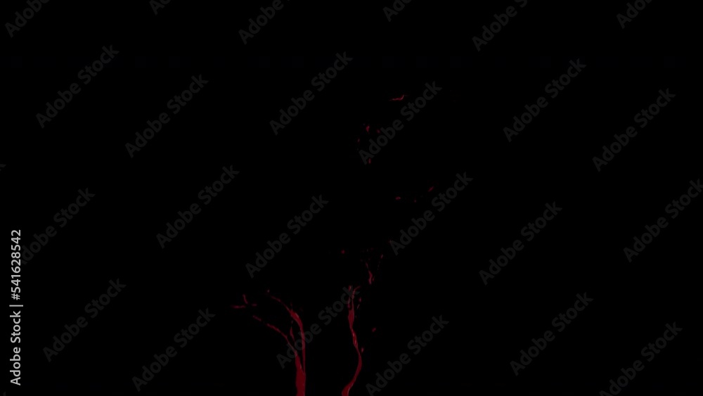 4K blood splash effect on transparent background.background footage ...