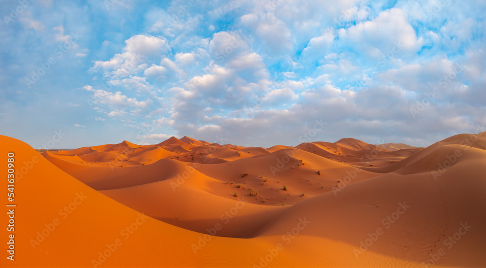 Beautiful sand dunes in the Sahara desert with amazing cloudy sky ...