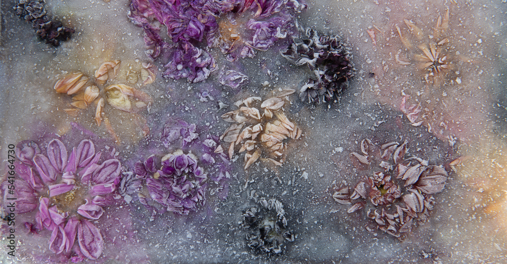 abstract seamless wallpaper of frozen summer flowers in ice in winter ...