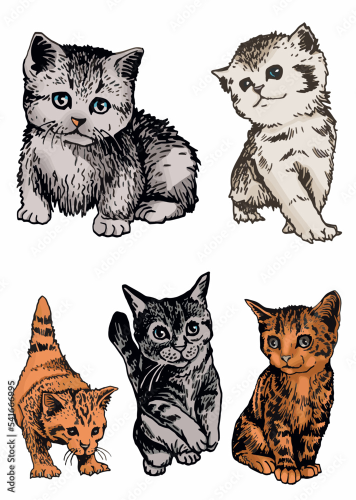 Vector color two cats,graphical drawing of domestic pets,illustration ...