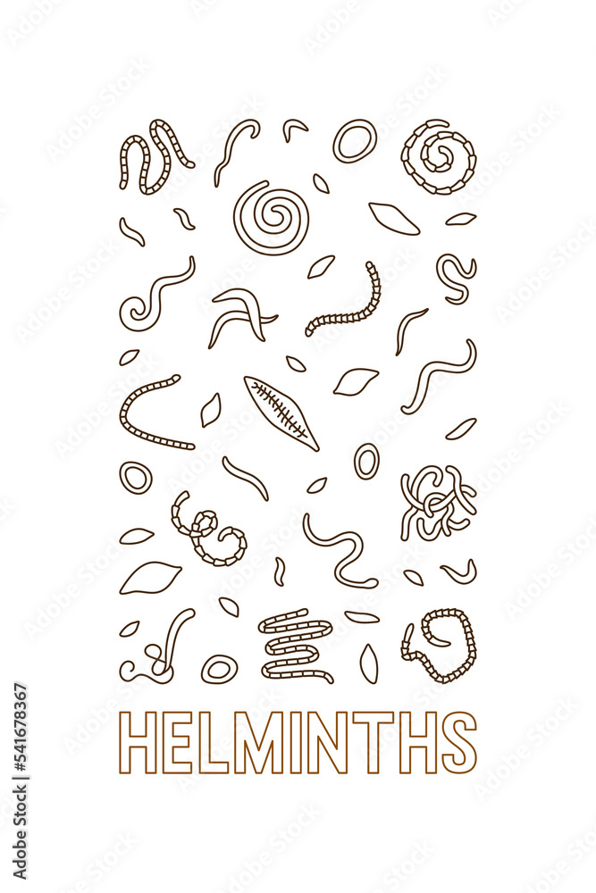 Helminths Parasitic Worms vector concept vertical line illustration ...