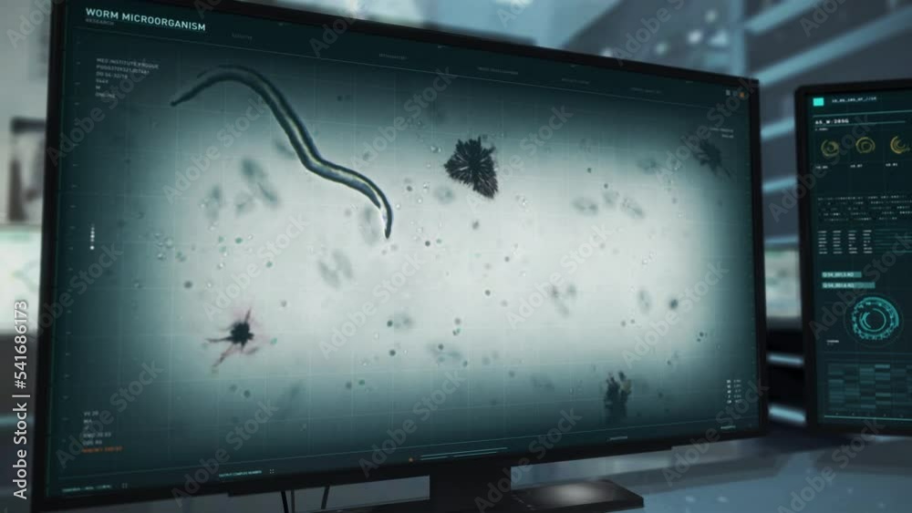 Scientific analysis of the worm organism causing dangerous sickness ...