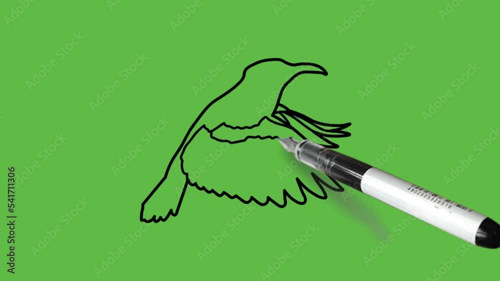 Draw sitting bird with spreading its wings in blue color combination ...