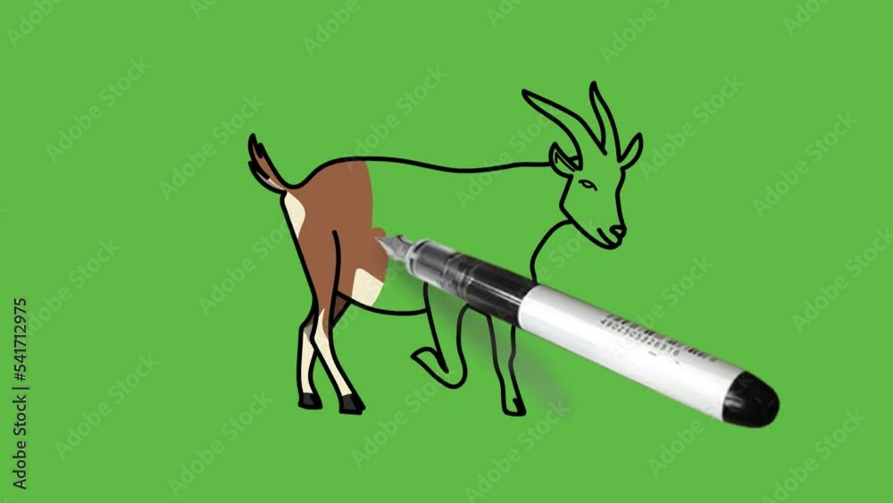 Draw female goat called doe in light and dark brown, white and grey ...