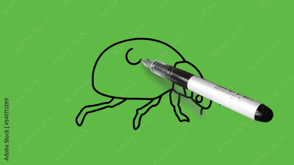 Draw ladybug insect in light and dark grey, red and white color ...