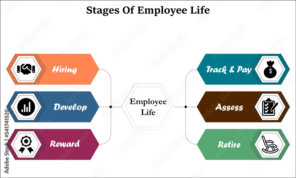 Stages Of Employee Life with icons in an Infographic template Stock ...
