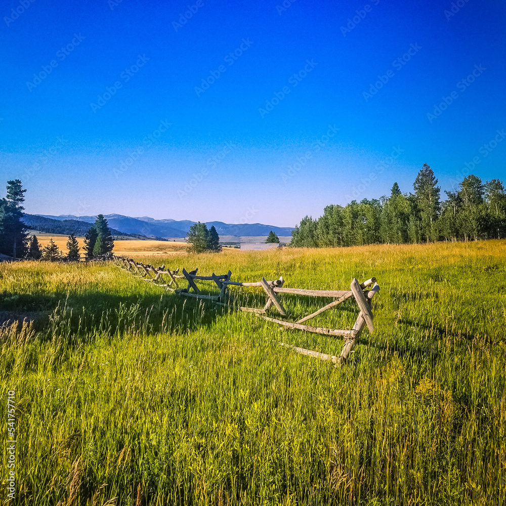 Green Grassy Meadow in Yellowstone National Park with Split Rail Fence ...
