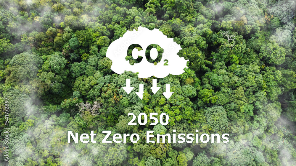 Net zero by 2050. Carbon neutral on Top view of nature.. Net zero ...