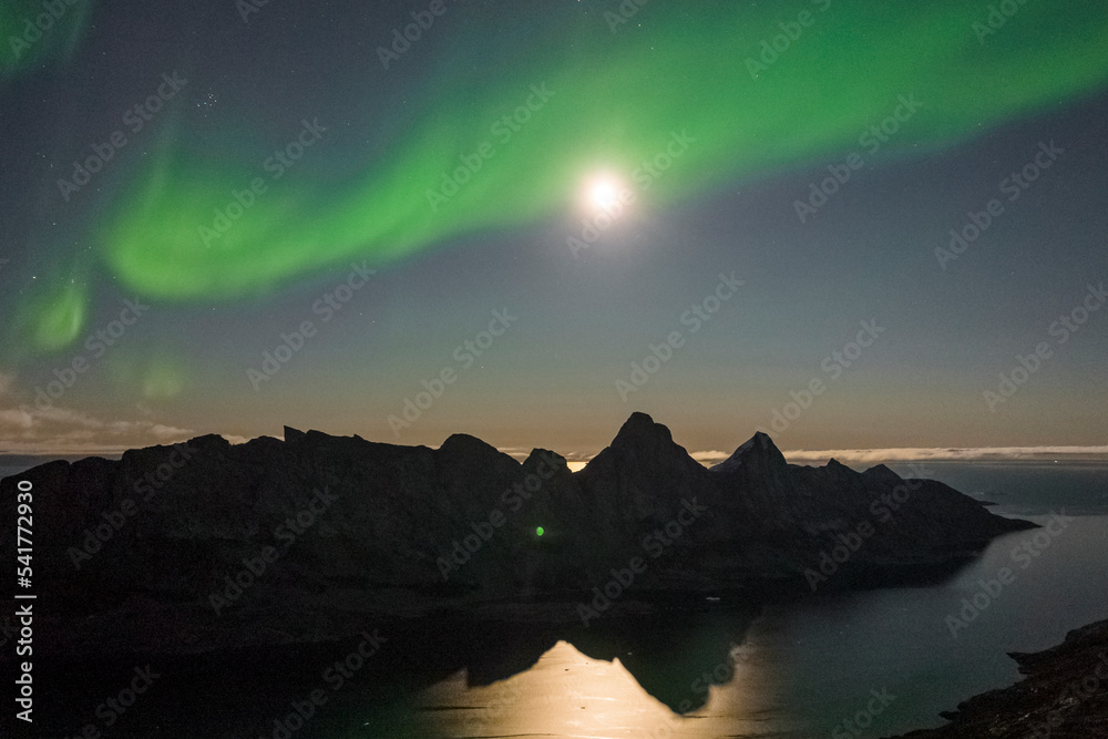 Aerial view of the northern lights over the fjords at night in ...