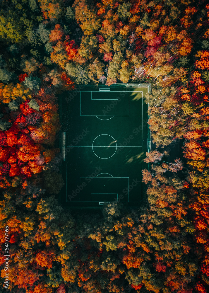 Aerial view of football field hidden in fall foliage forest, Moscow ...