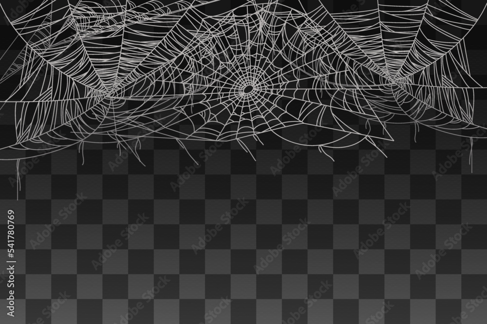 Spider spooky web decoration for background vector illustration on ...